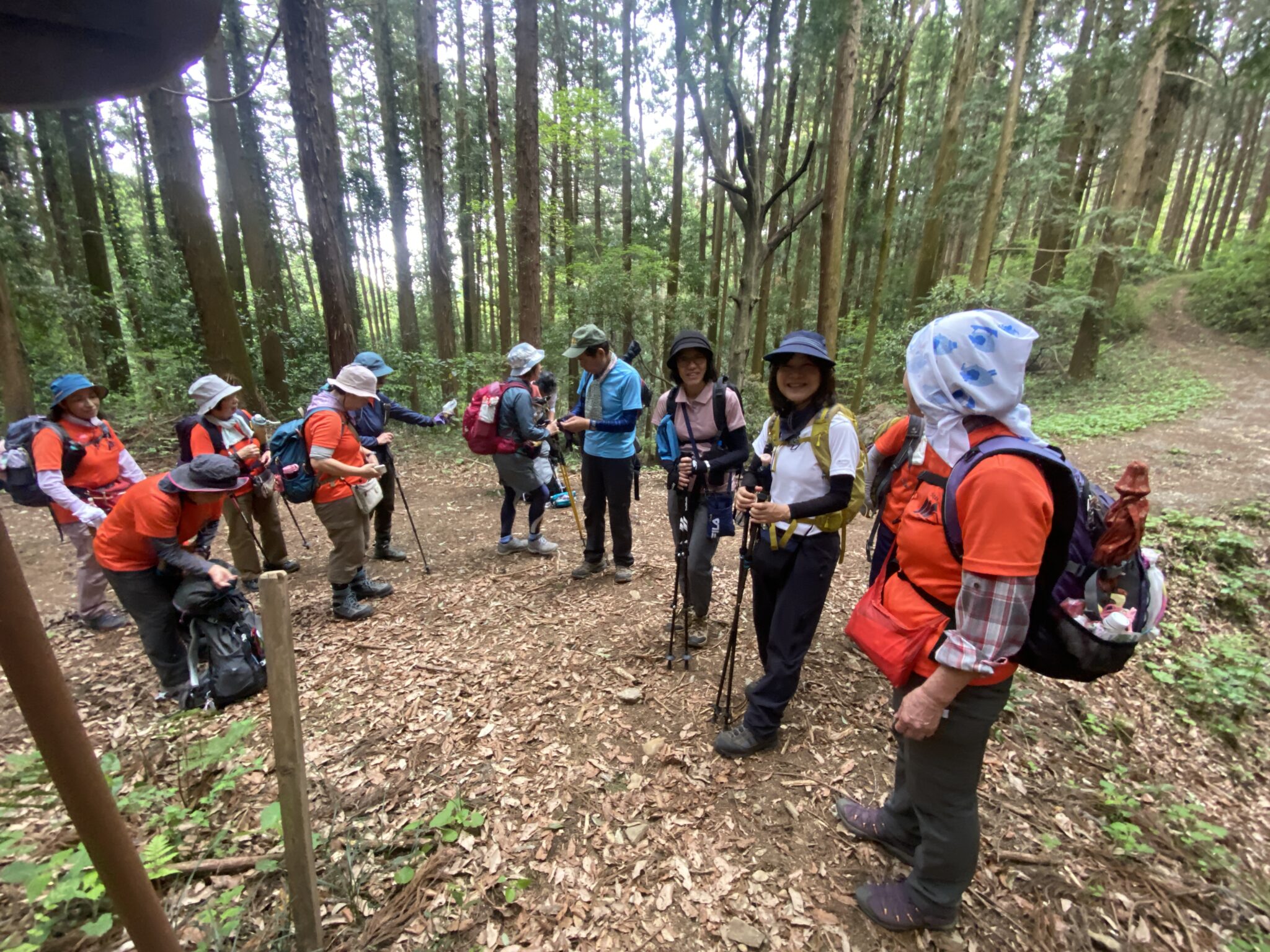 定例山行 皇鈴山(679m) 2025/4/26 - 川口市登山同好会